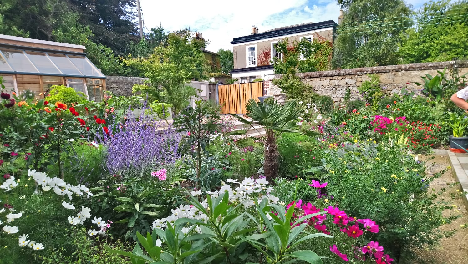 Helen Dillon’s Beautiful New Garden | Marita Conlon-McKenna